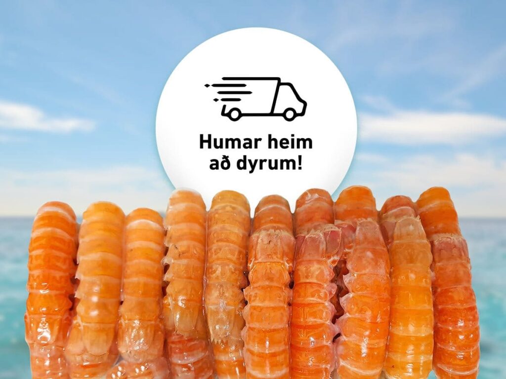 humarsalan.is – Humar